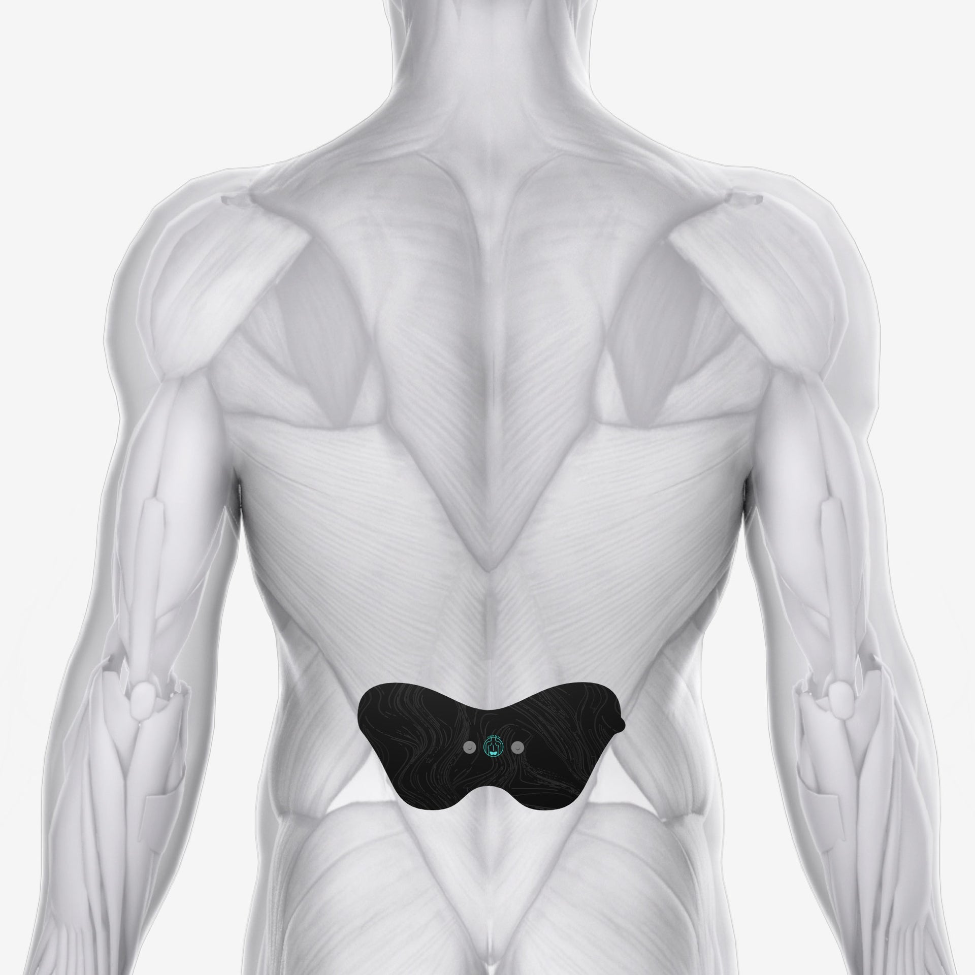 Halo Upper Body Bundle – Chirp™