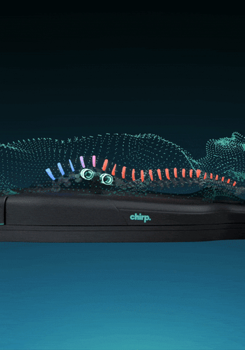 Chirp Contour | Decompression & Massage Table – Chirp™